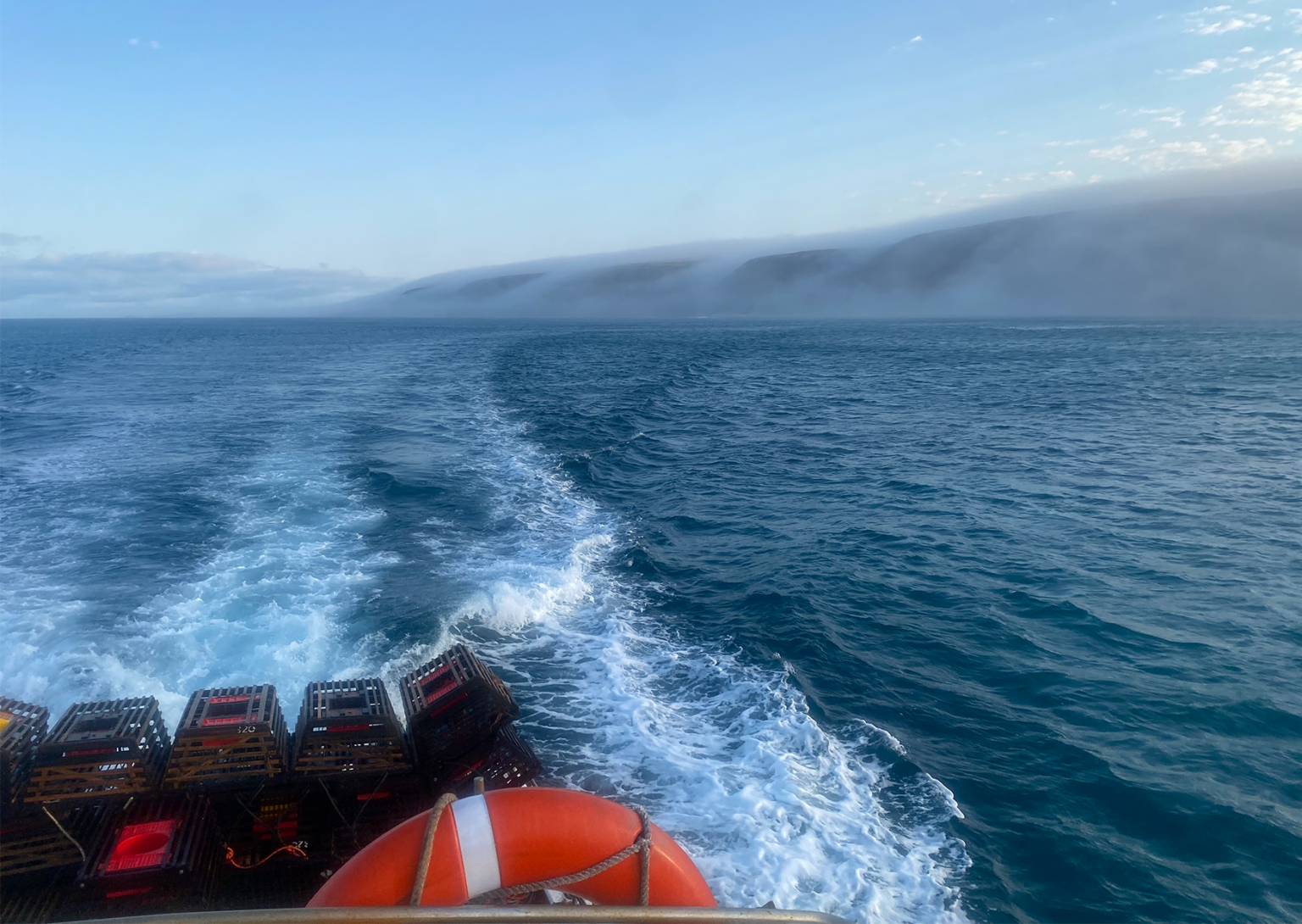 Winners of the 2023 Western Rock Lobster Photo Contest - Western Rock ...